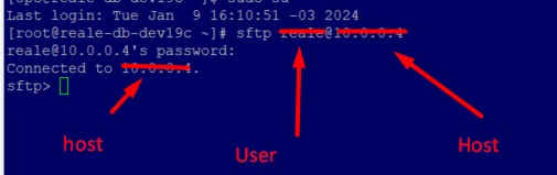 Connect To Sftp Server Linux And Send Files By A Shell Script Oracle Forums