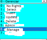Authorization Schema - Oracle Forums
