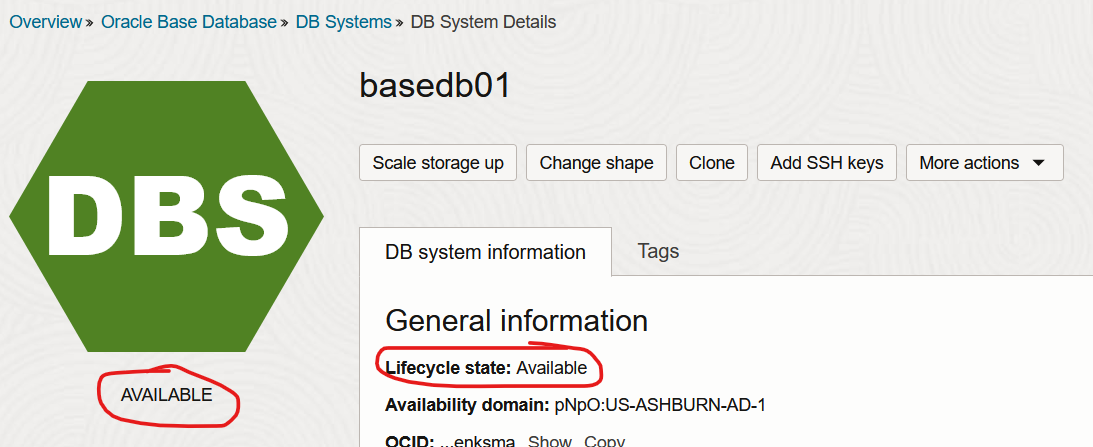Oracle Base Database State Oracle Forums