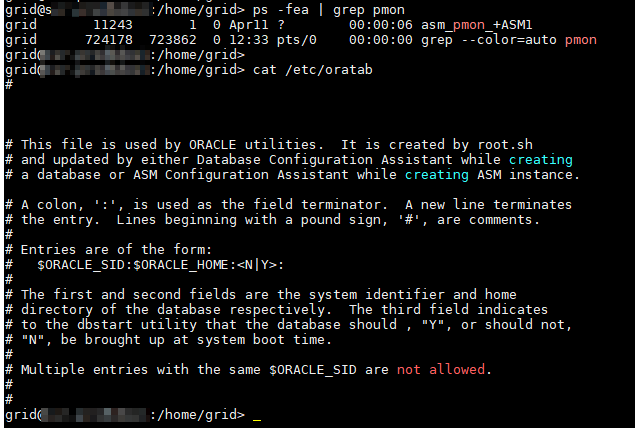 File Etc Oratab Is Empty In Oracle Gi 21c 21 8 0 0 0 Oracle Forums
